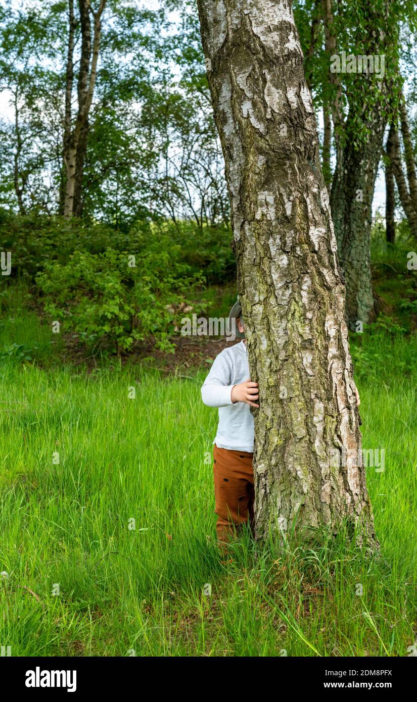 Toddler Is Hiding Behind A Tree Stock Photo - Alamy
