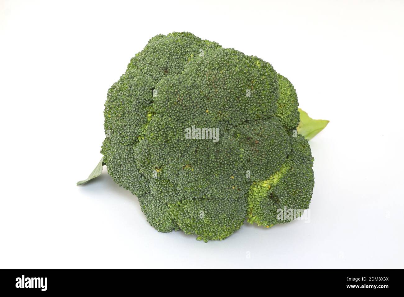 Broccoli isolated on white background. Raw broccoli vegetable close up ...