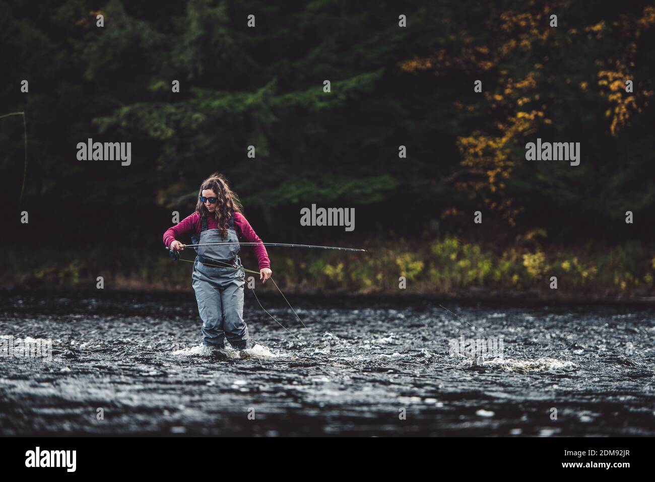 Woman angler in waders walks through rushing water in river Stock Photo ...