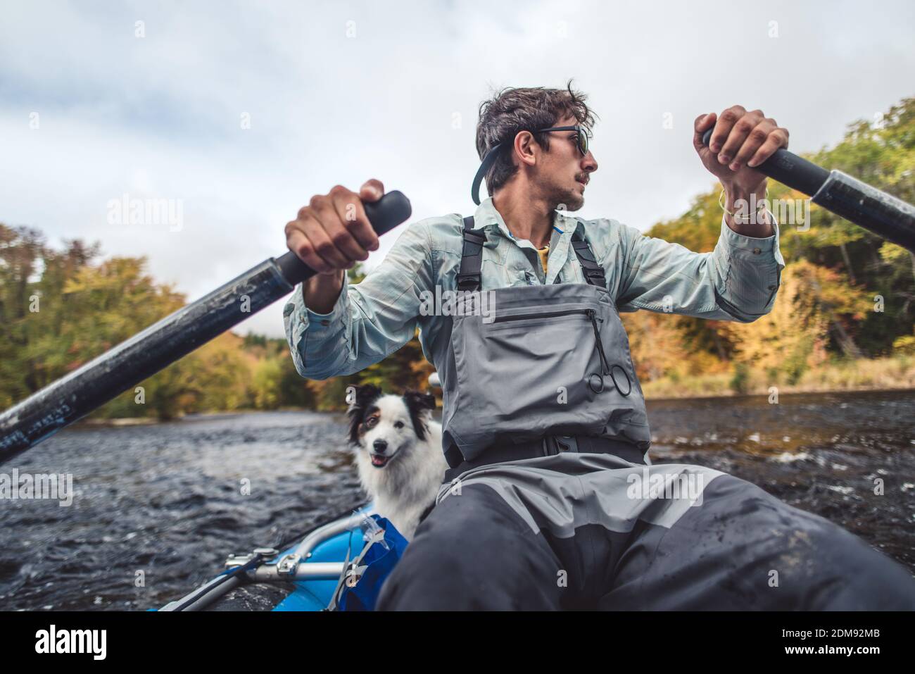 Fishing rowing boat with dog hi-res stock photography and images - Alamy