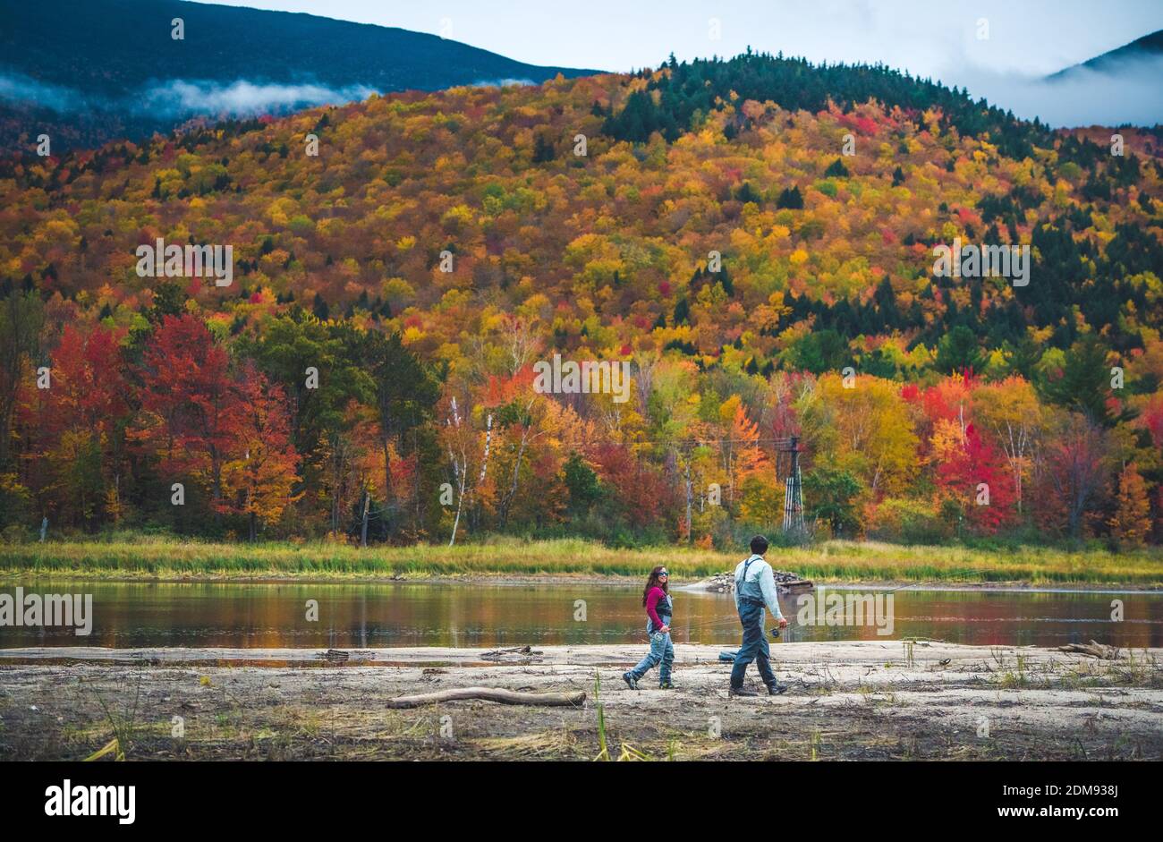 Male and female anglers walk down the shore with dog and foliage Stock ...
