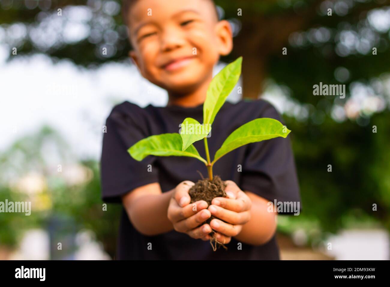 Boy holding sapling hi-res stock photography and images - Alamy