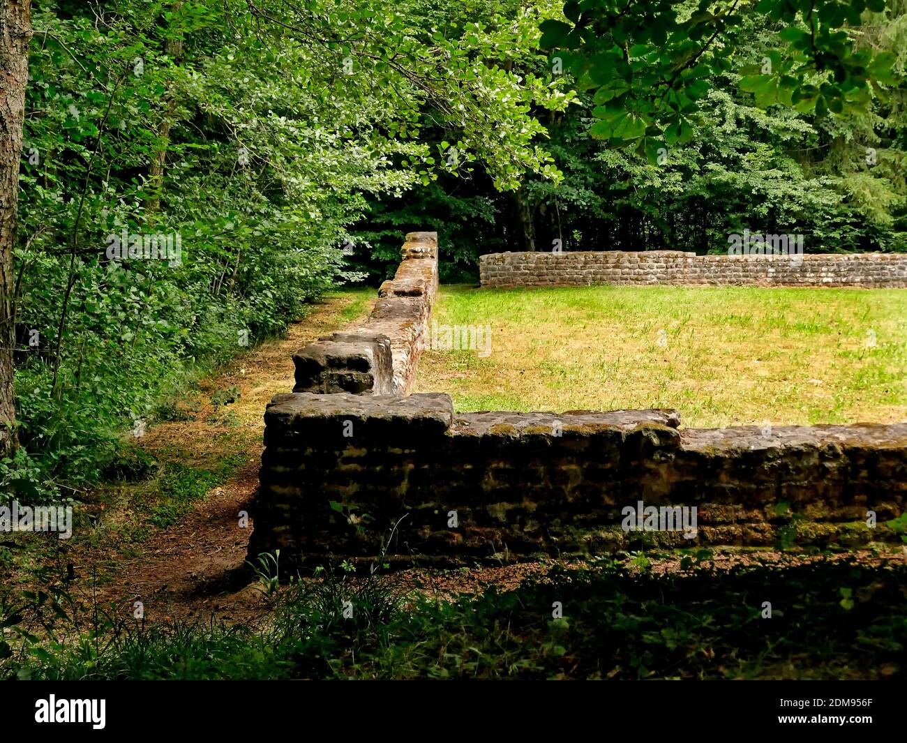 Wall Of An Historic Celtic Monument Hidden In A German Forest Stock ...