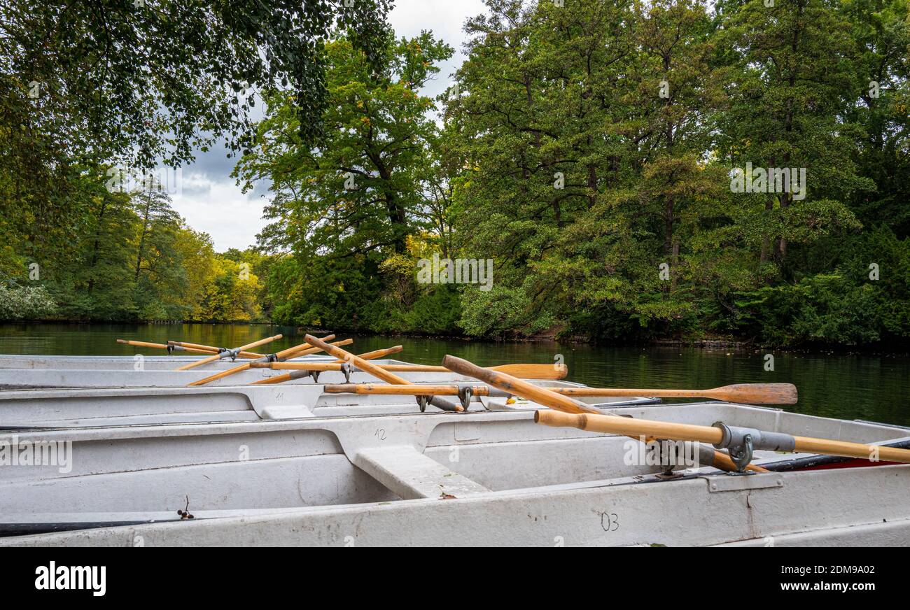 Rowing Boats On The New Lake In Berlin Stock Photo - Alamy
