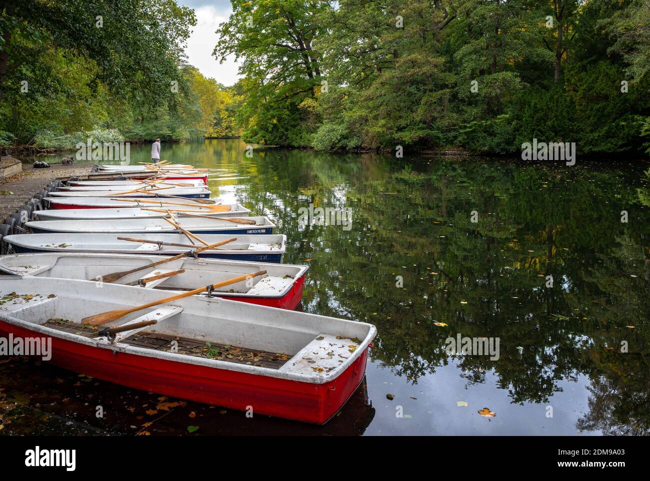 Rowing Boats On The New Lake In Berlin Stock Photo - Alamy
