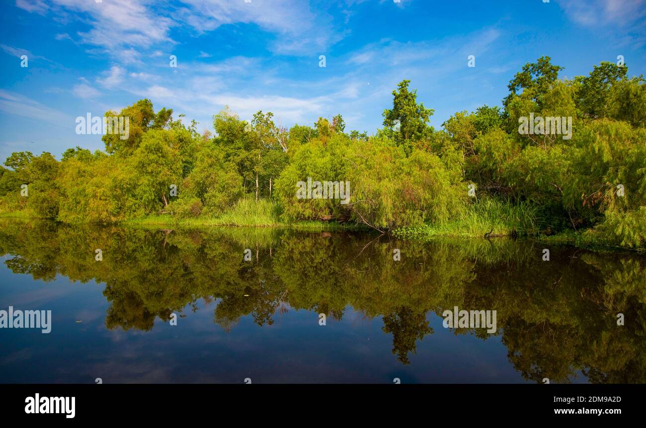 Nature images in Des Allemands Stock Photo - Alamy