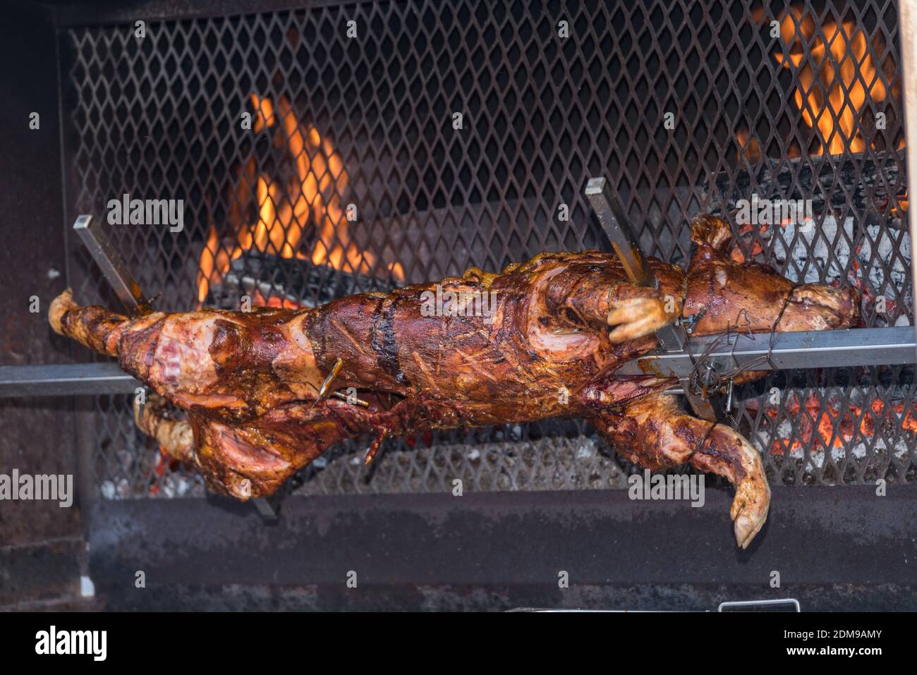 Suckling Pig Is Freshly Prepared On A Rotisserie Spit - Pork Stock ...