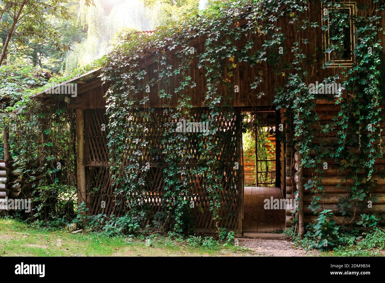 Solar battery on the trees background. Modern alternative ...