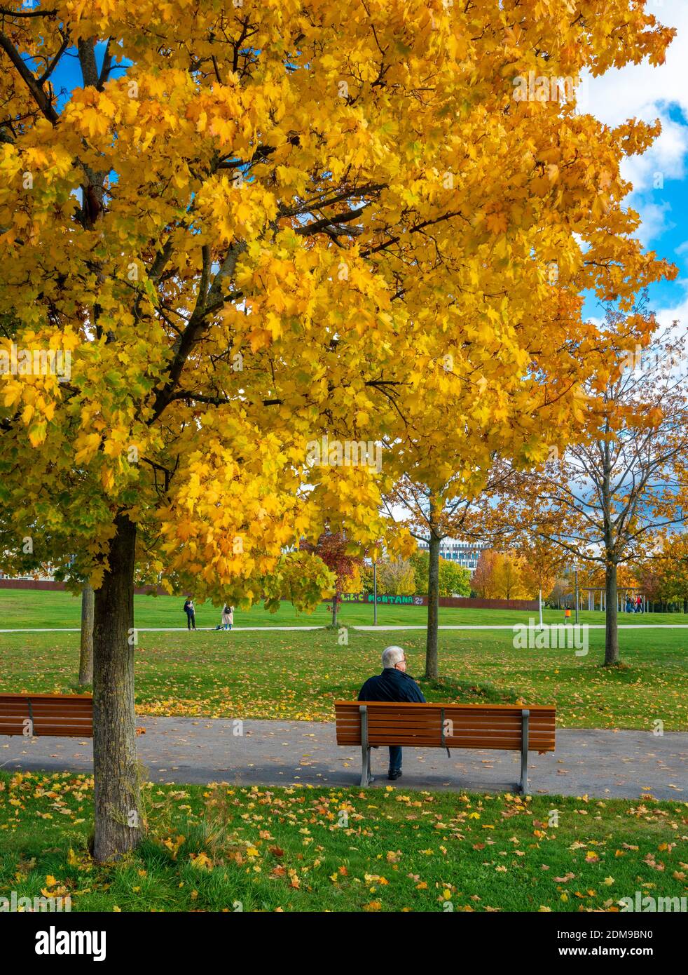 Autumn impressions from the park hi-res stock photography and images ...