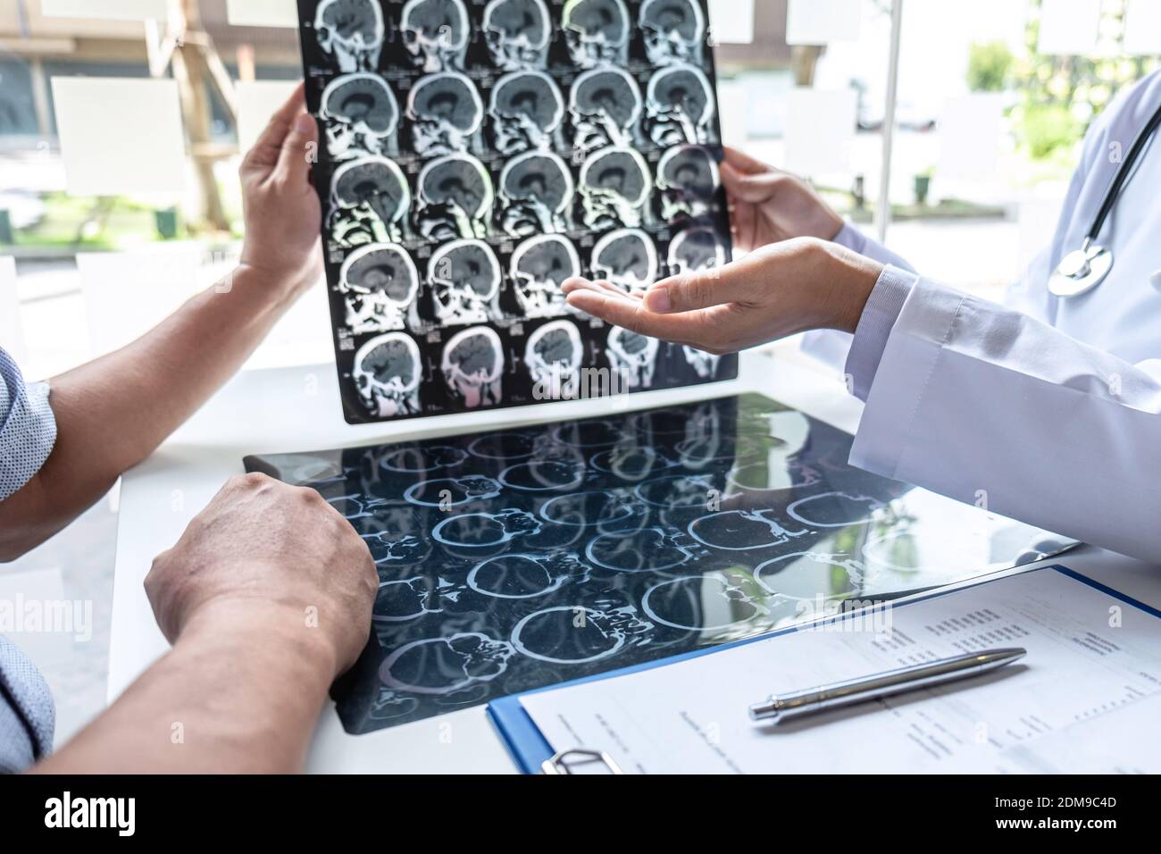 Cat x ray hi-res stock photography and images - Alamy