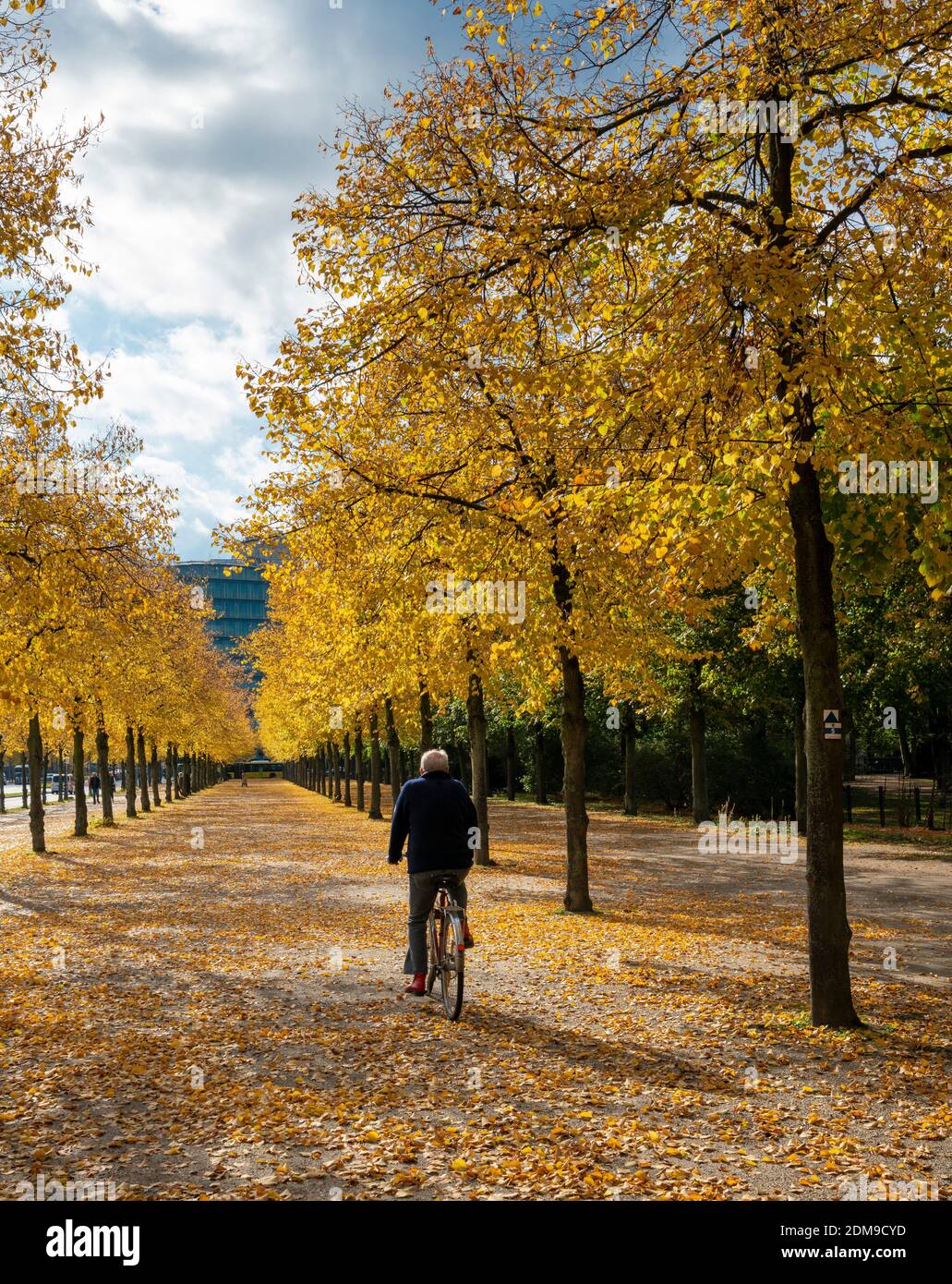 Autumn impressions from the park hi-res stock photography and images ...