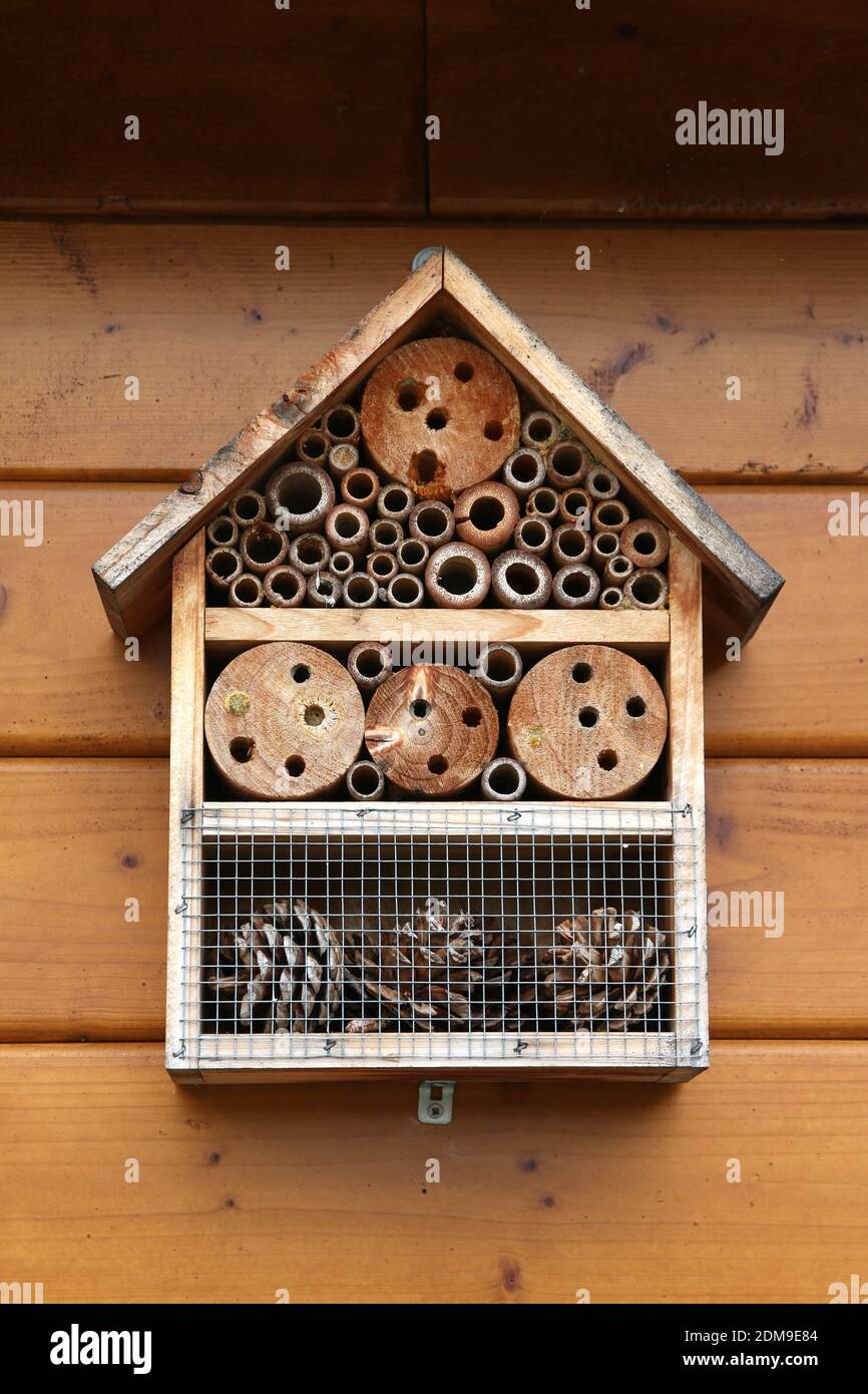 Nesting and wintering aid for insects hi-res stock photography and ...