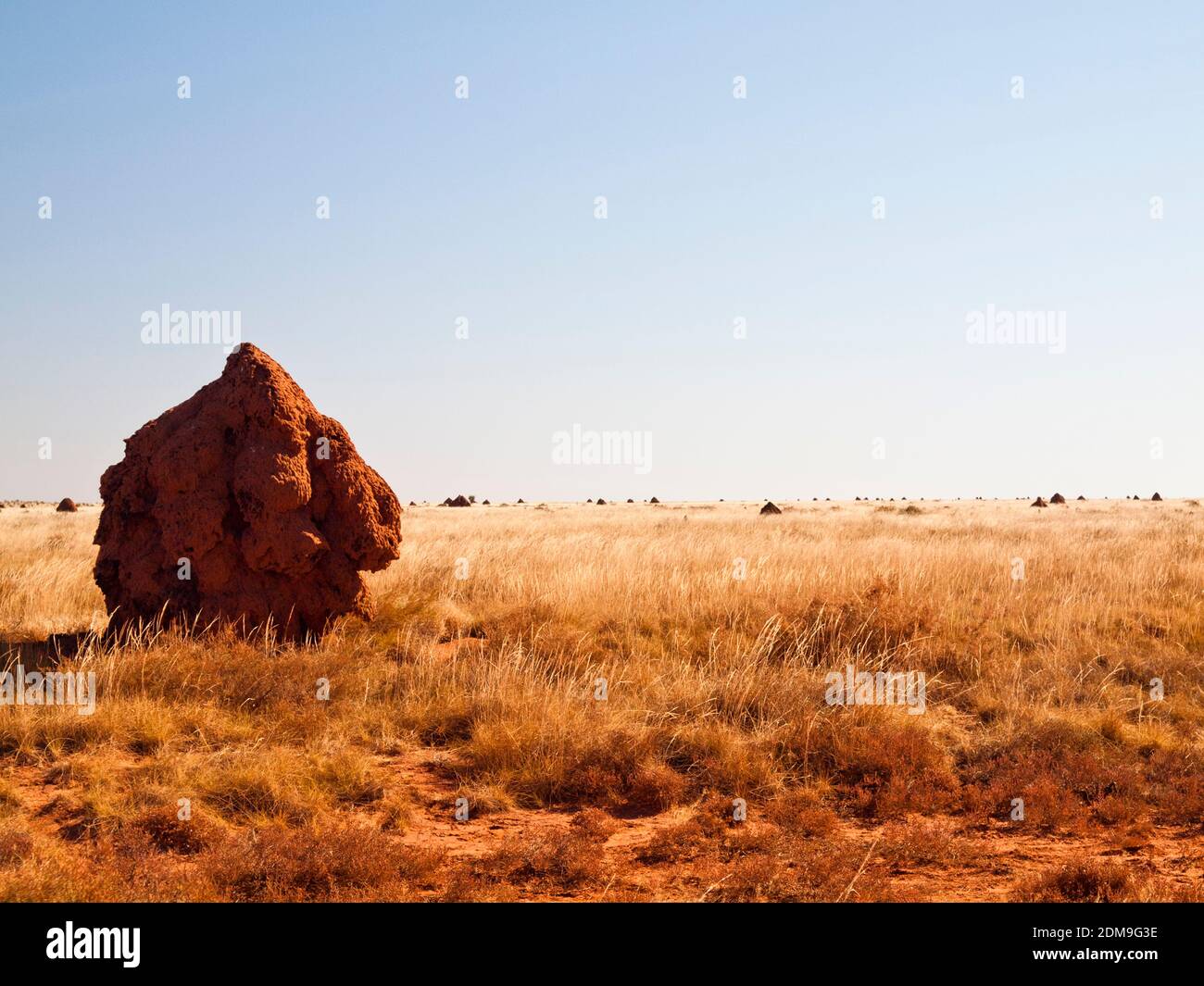 Tanami hi-res stock photography and images - Alamy