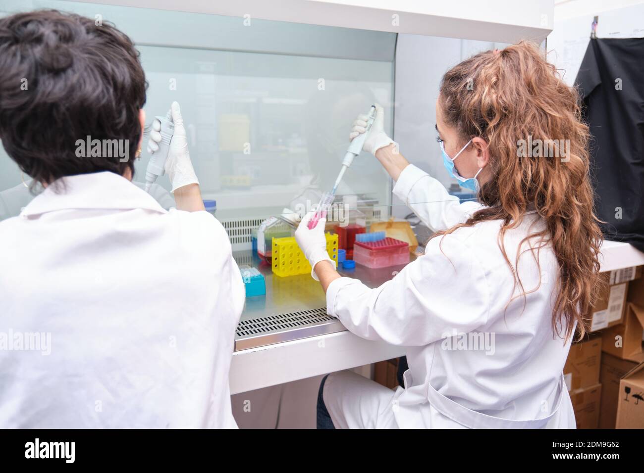 Two young female scientists wearing face masks during an experiment in ...