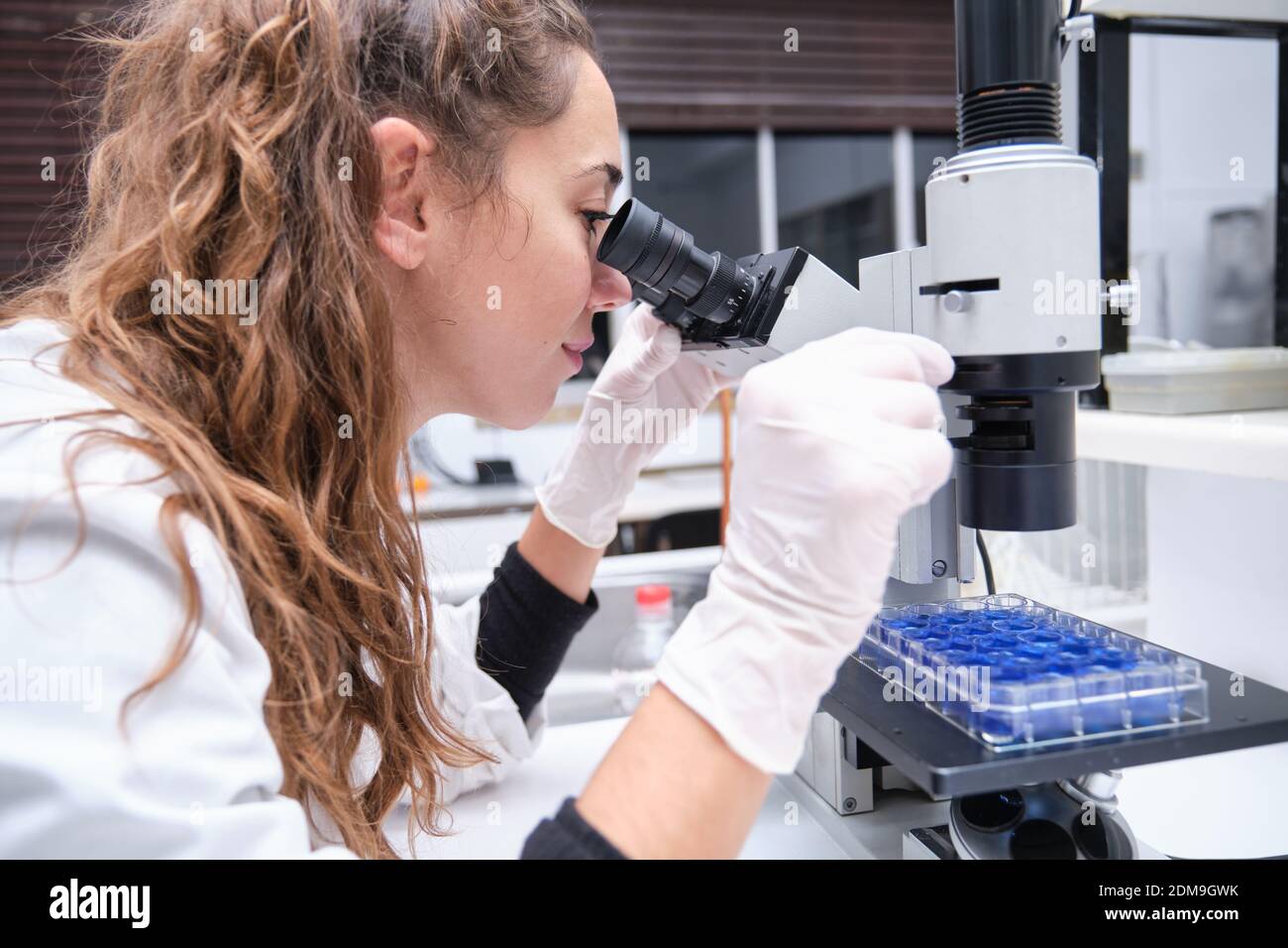 Young female scientist looking through a microscope in a laboratory ...