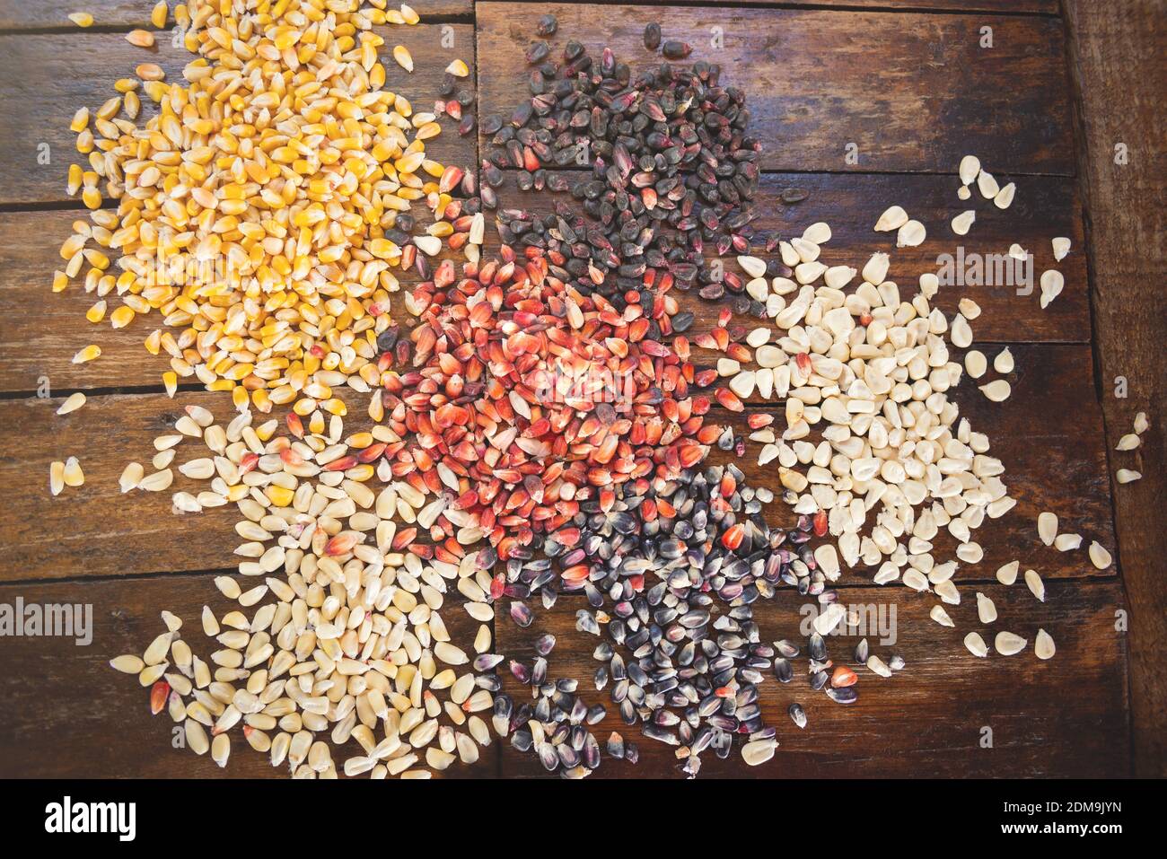 Different colors of corn hi-res stock photography and images - Alamy