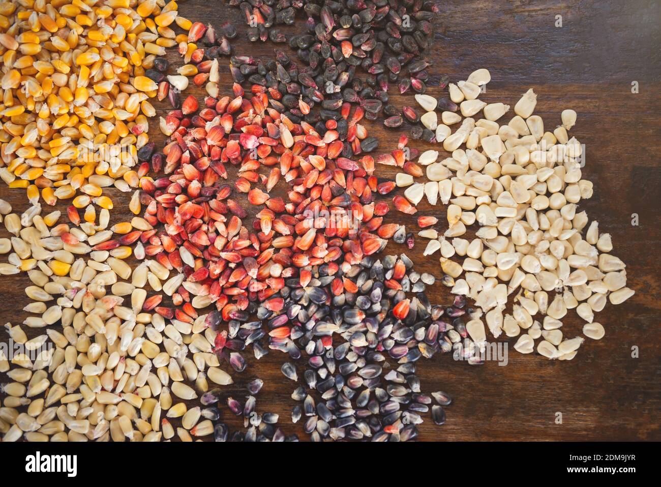 Different species and colors of corn on wooden table Stock Photo - Alamy
