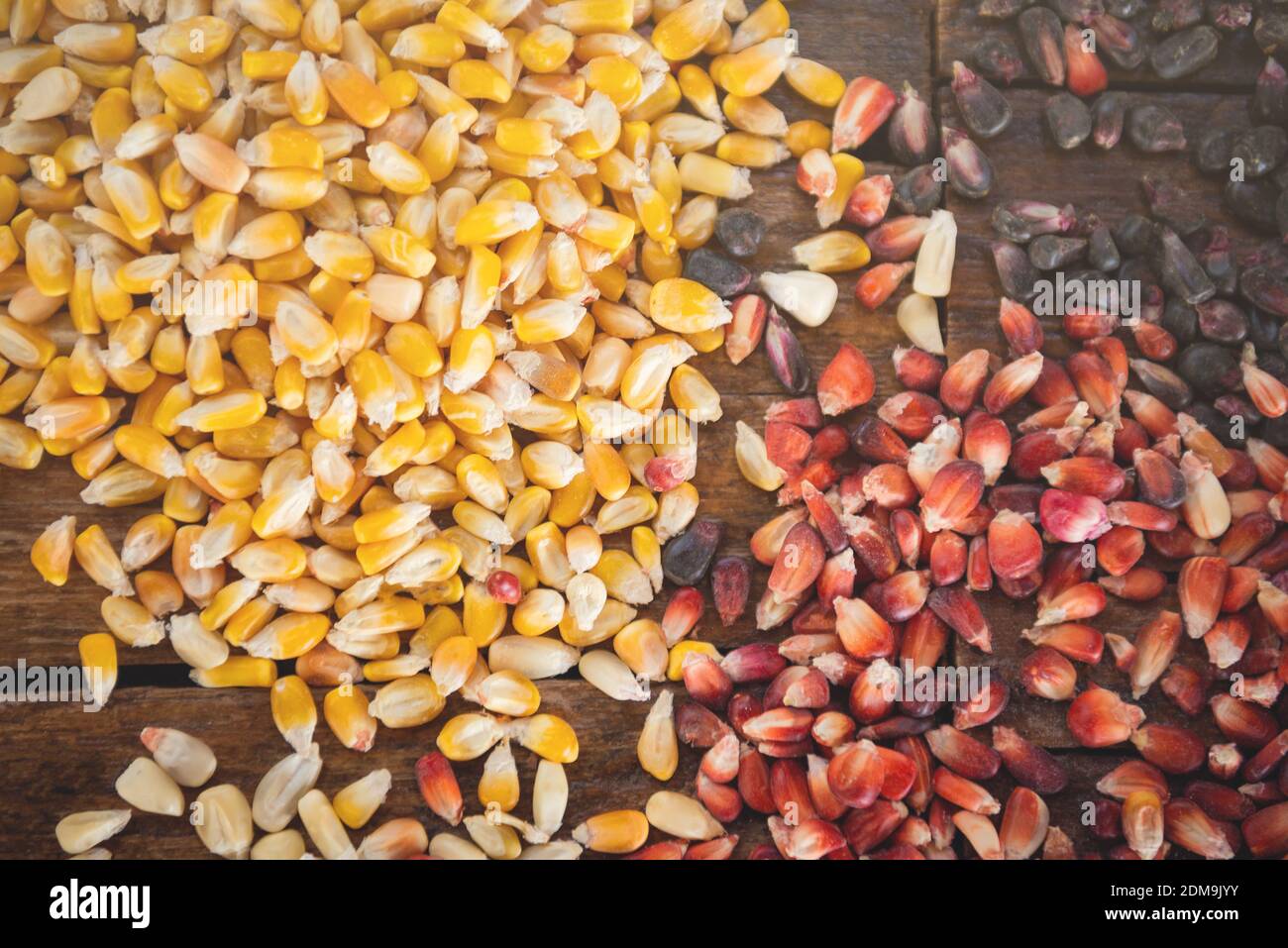 Different colors of corn hi-res stock photography and images - Alamy
