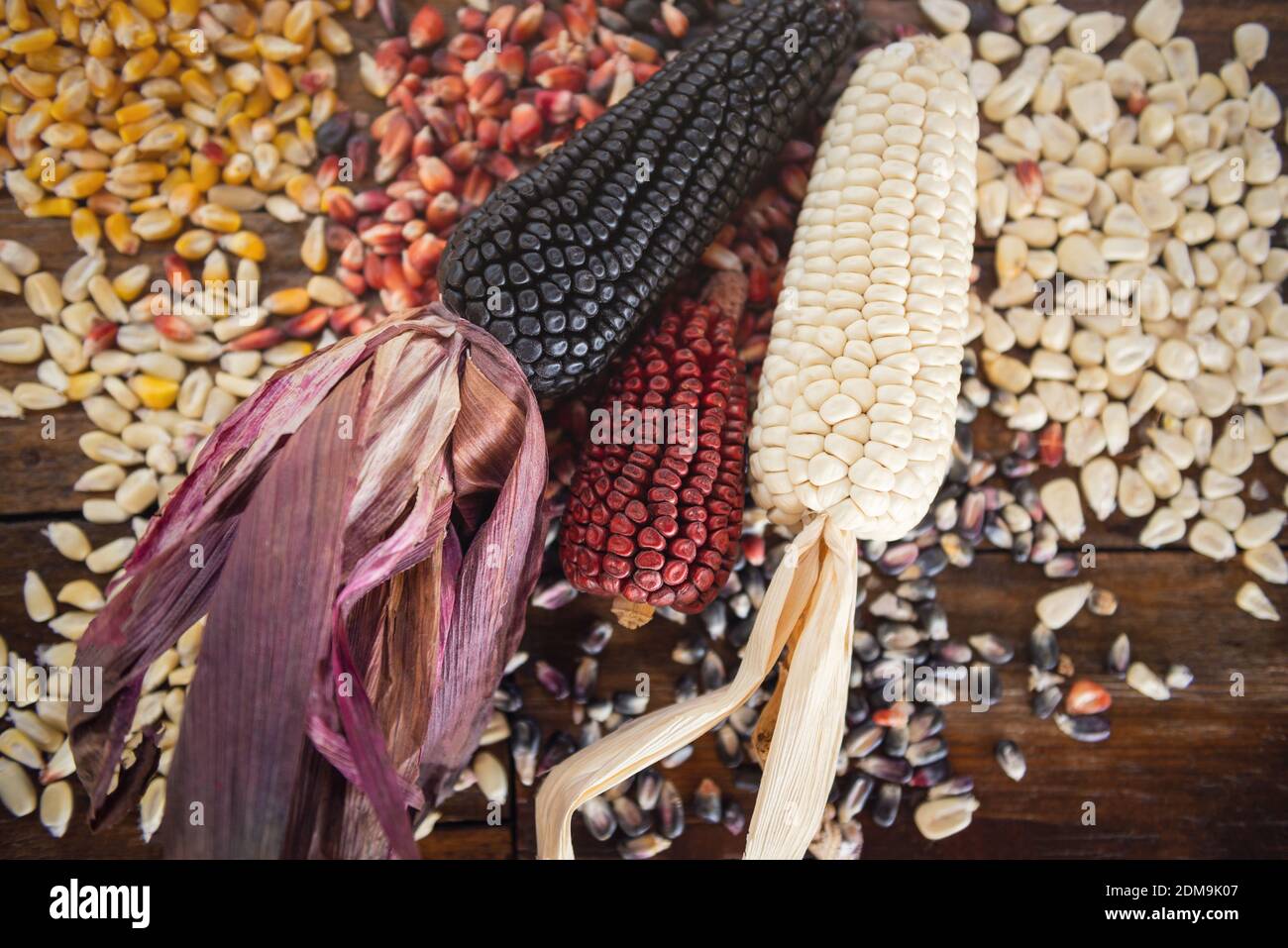Different colors of corn hi-res stock photography and images - Alamy