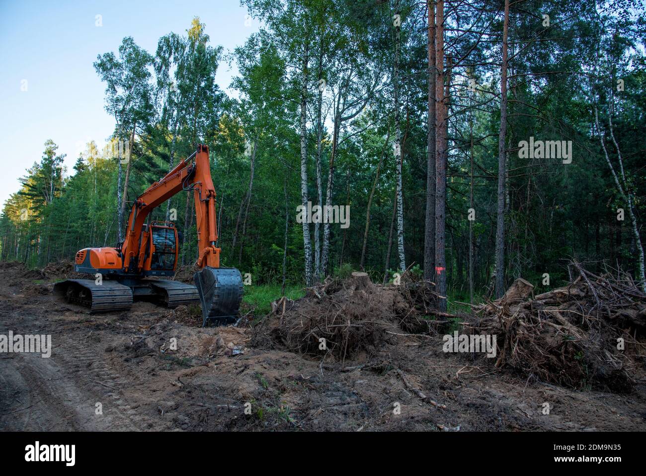 Excavator clearing forest for new development. Orange Backhoe modified ...