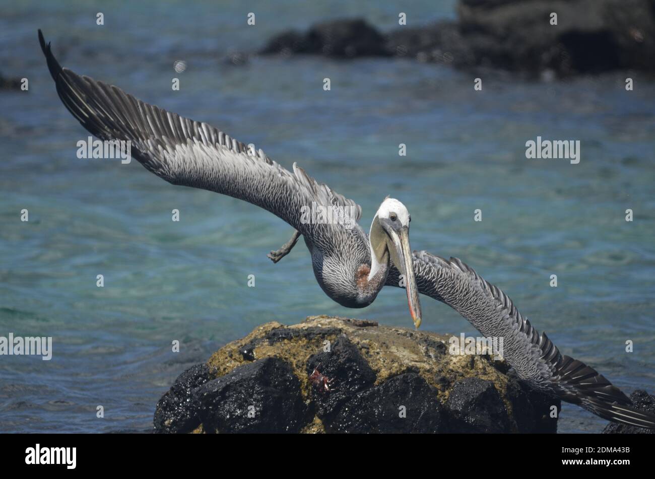 45 degree angle hi-res stock photography and images - Alamy