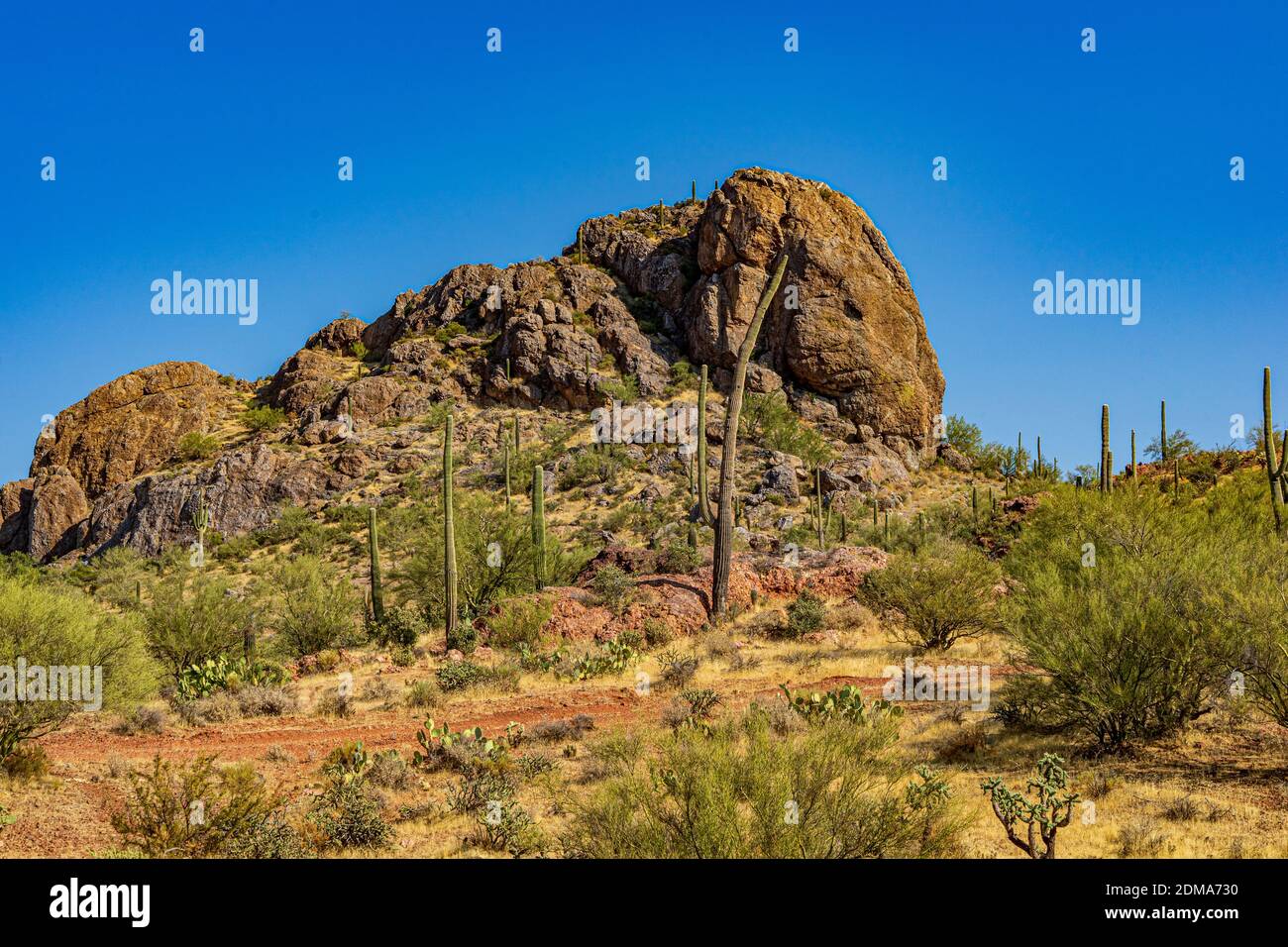 The image is a view of the famous Elephant Butte in Arizona which is a ...