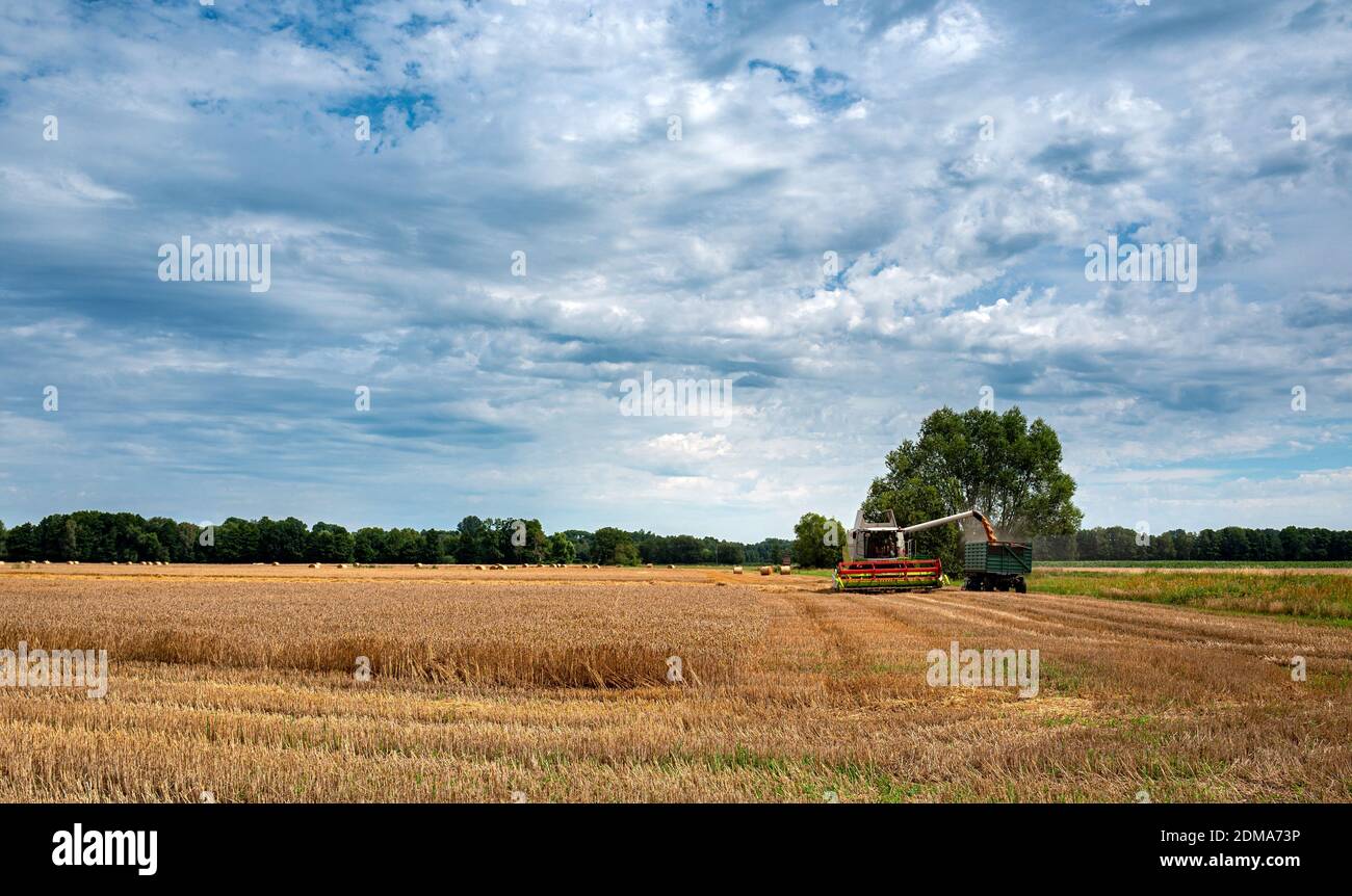 Agriculture In Germany Stock Photo - Alamy