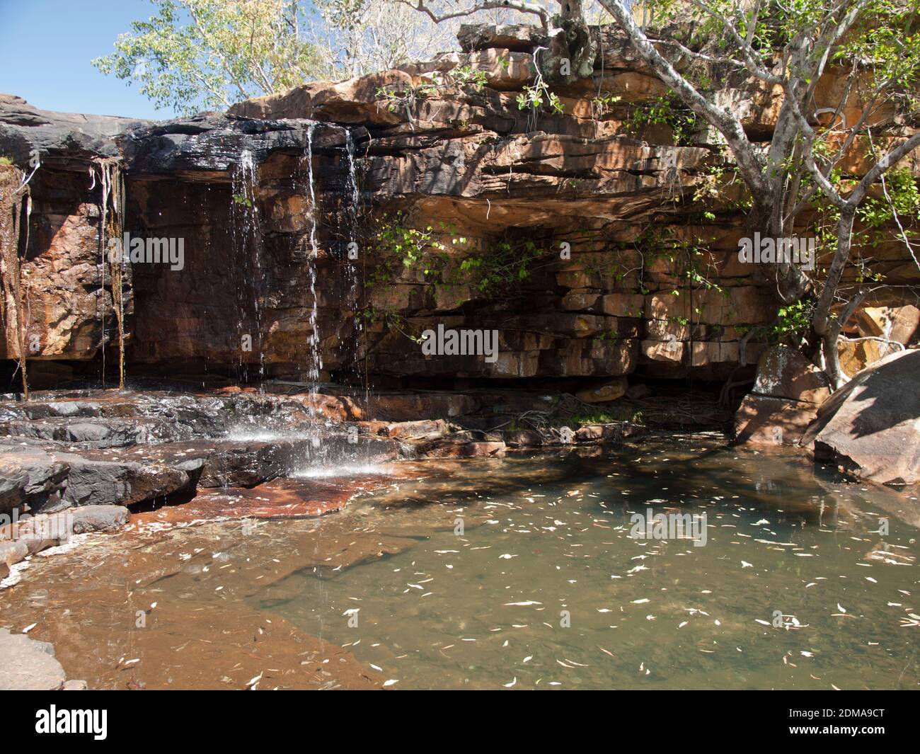 Small waterfall and plunge pool below sandstone overhang, Mt Elizabeth ...
