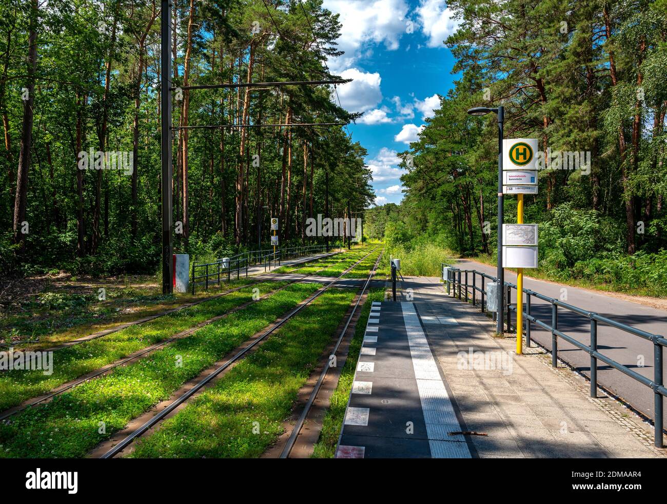 Berlin Tram Stop In The Forest Stock Photo - Alamy