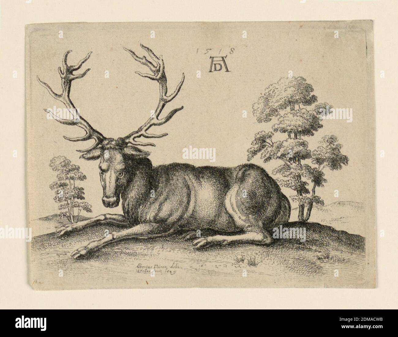 Albertus durer delin hi-res stock photography and images - Alamy