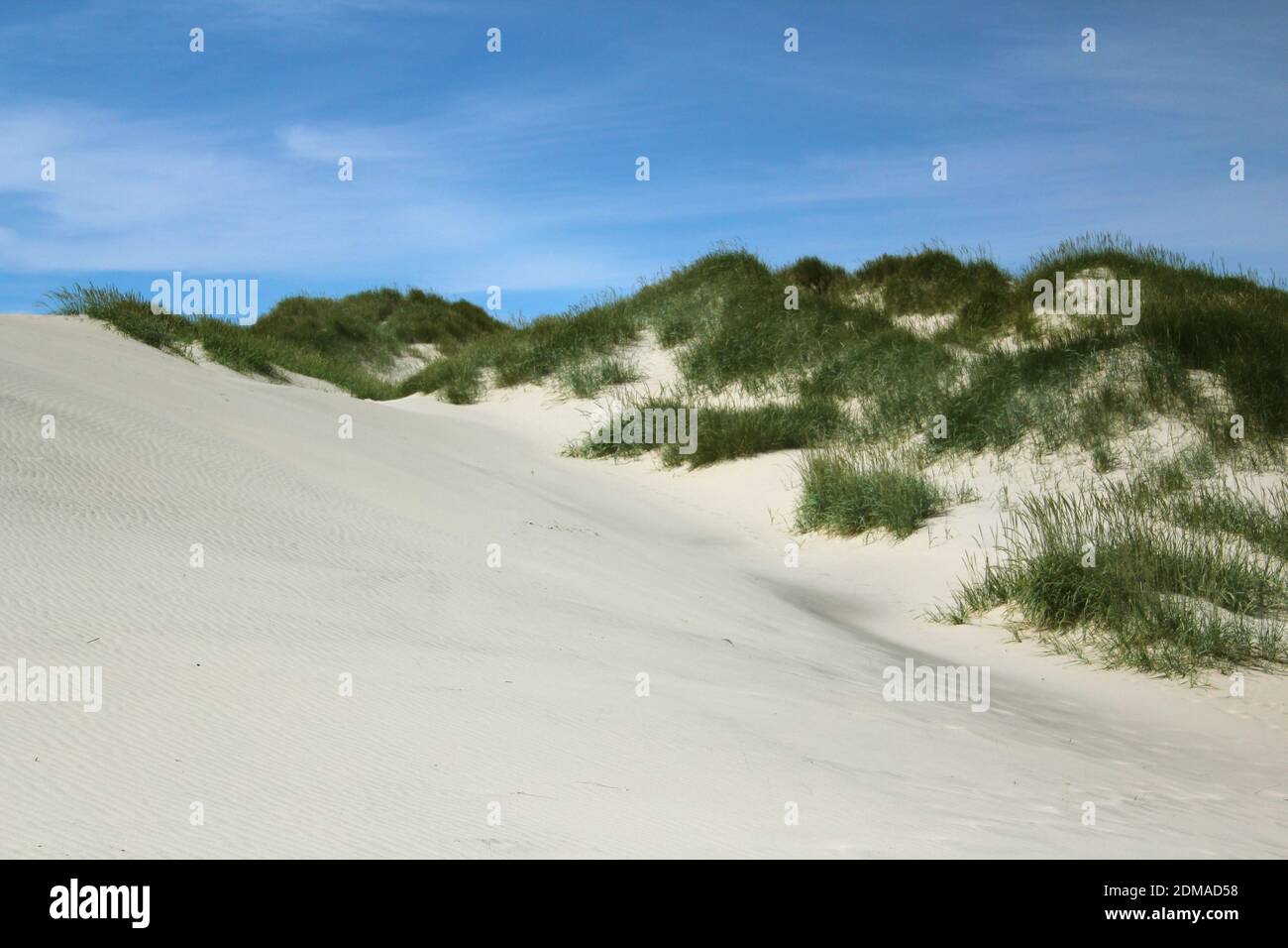 Dune In North Jylland, Denmark Stock Photo - Alamy