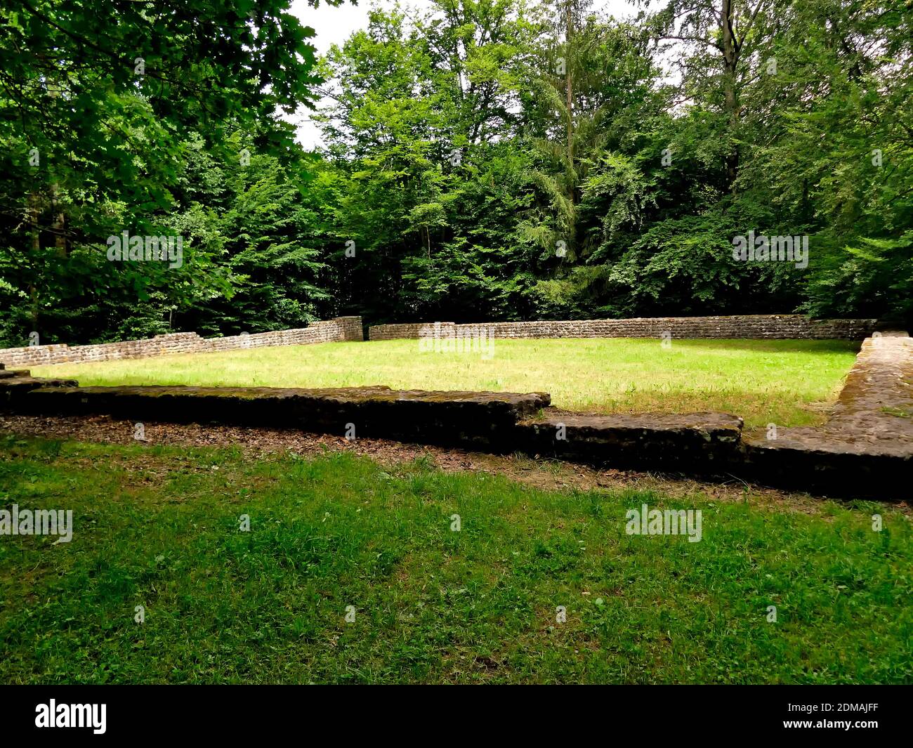 Wall Of An Historic Celtic Monument Hidden In A German Forest Stock ...