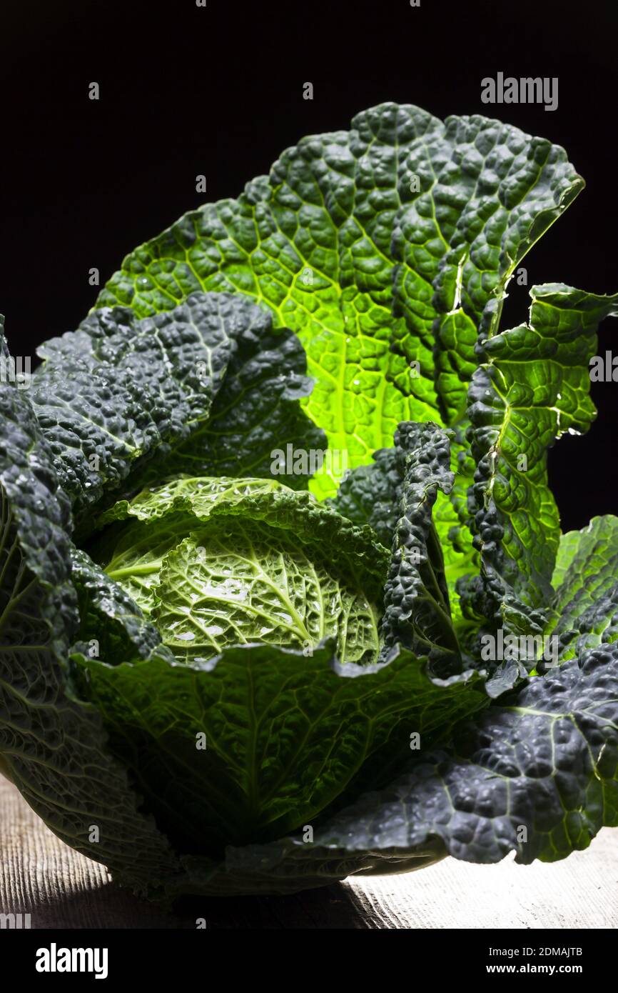 Wirsing cabbage hi-res stock photography and images - Alamy