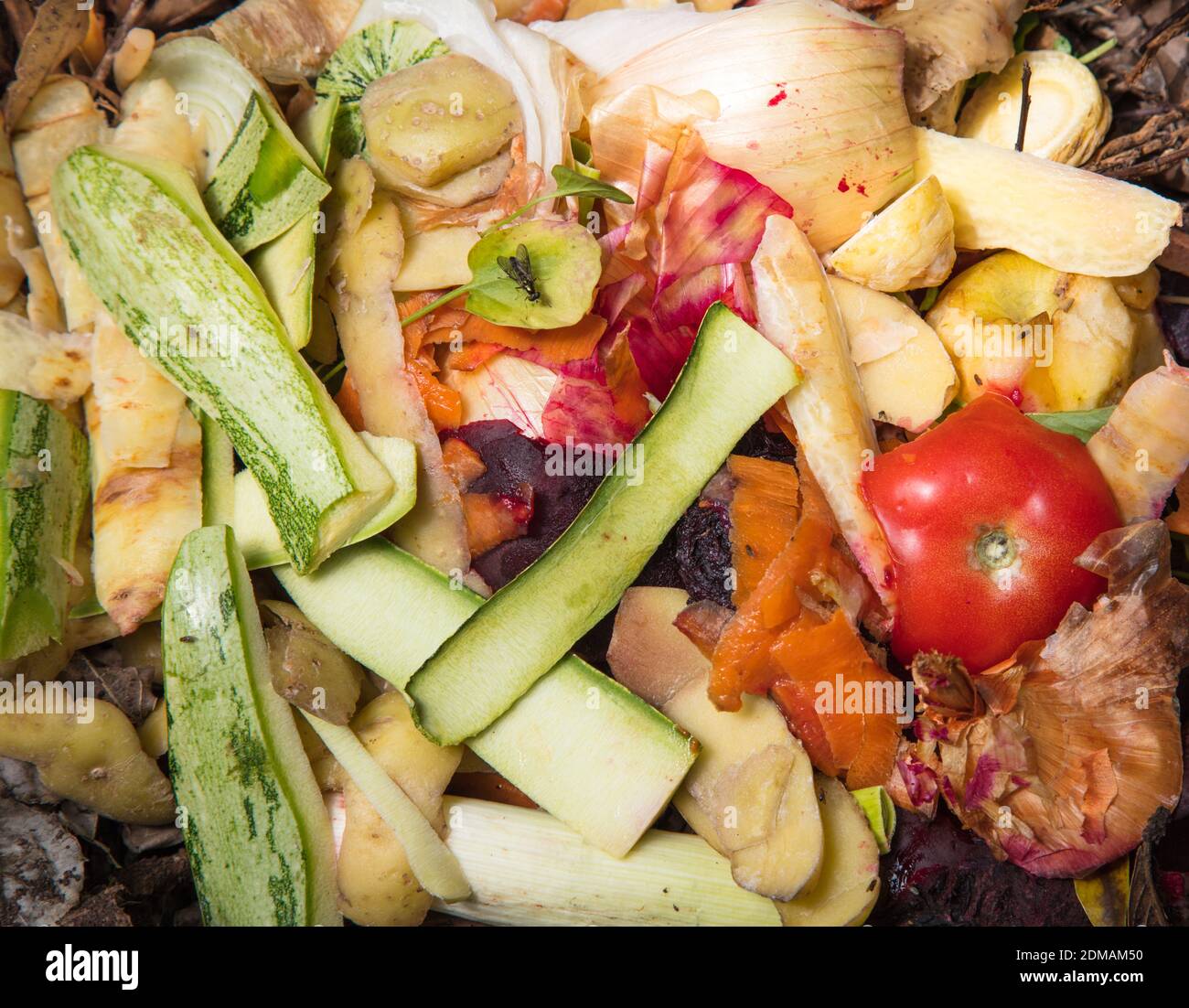 A top view shot of a heap of vegetable peels for composting Stock Photo ...