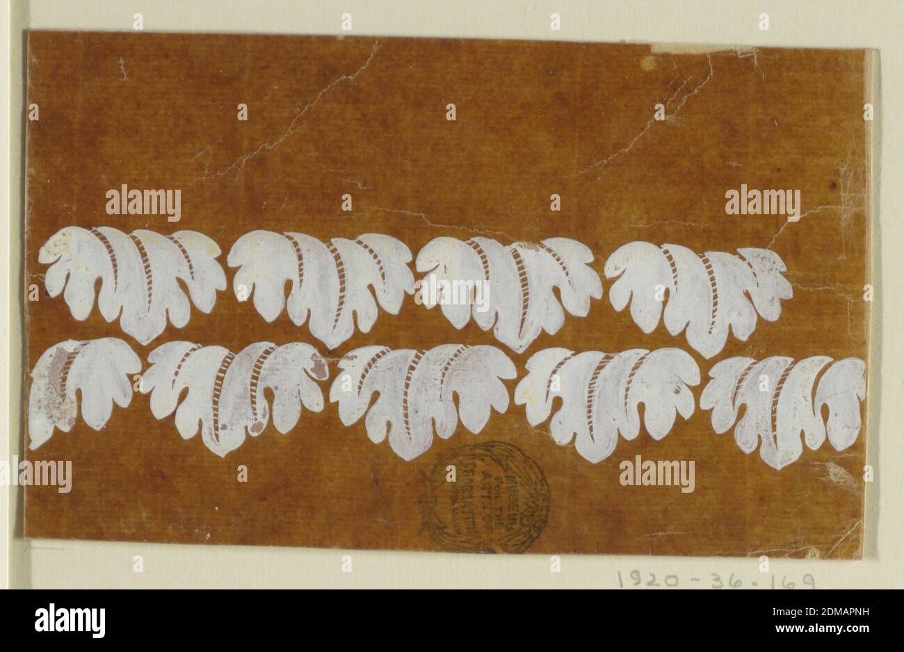 Multi lobed leaves hi-res stock photography and images - Alamy