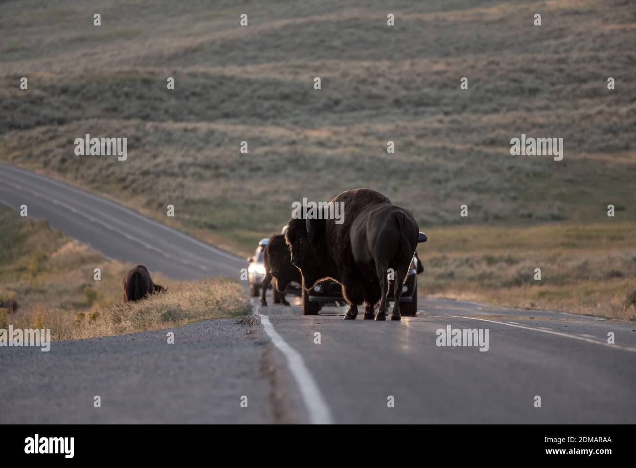 Rolling road block hi-res stock photography and images - Alamy