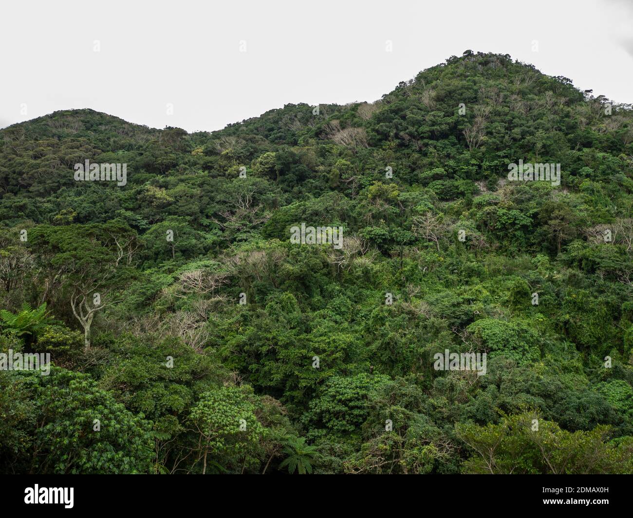 A beautiful shot of a landscape: mountains and hills covered in green ...