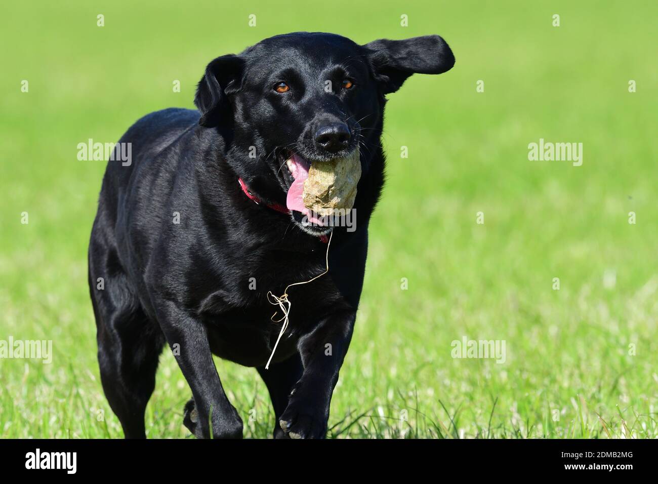 Horizotal view hi-res stock photography and images - Alamy