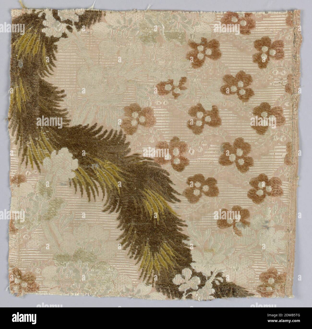 Compound weave with brocading hi-res stock photography and images - Alamy