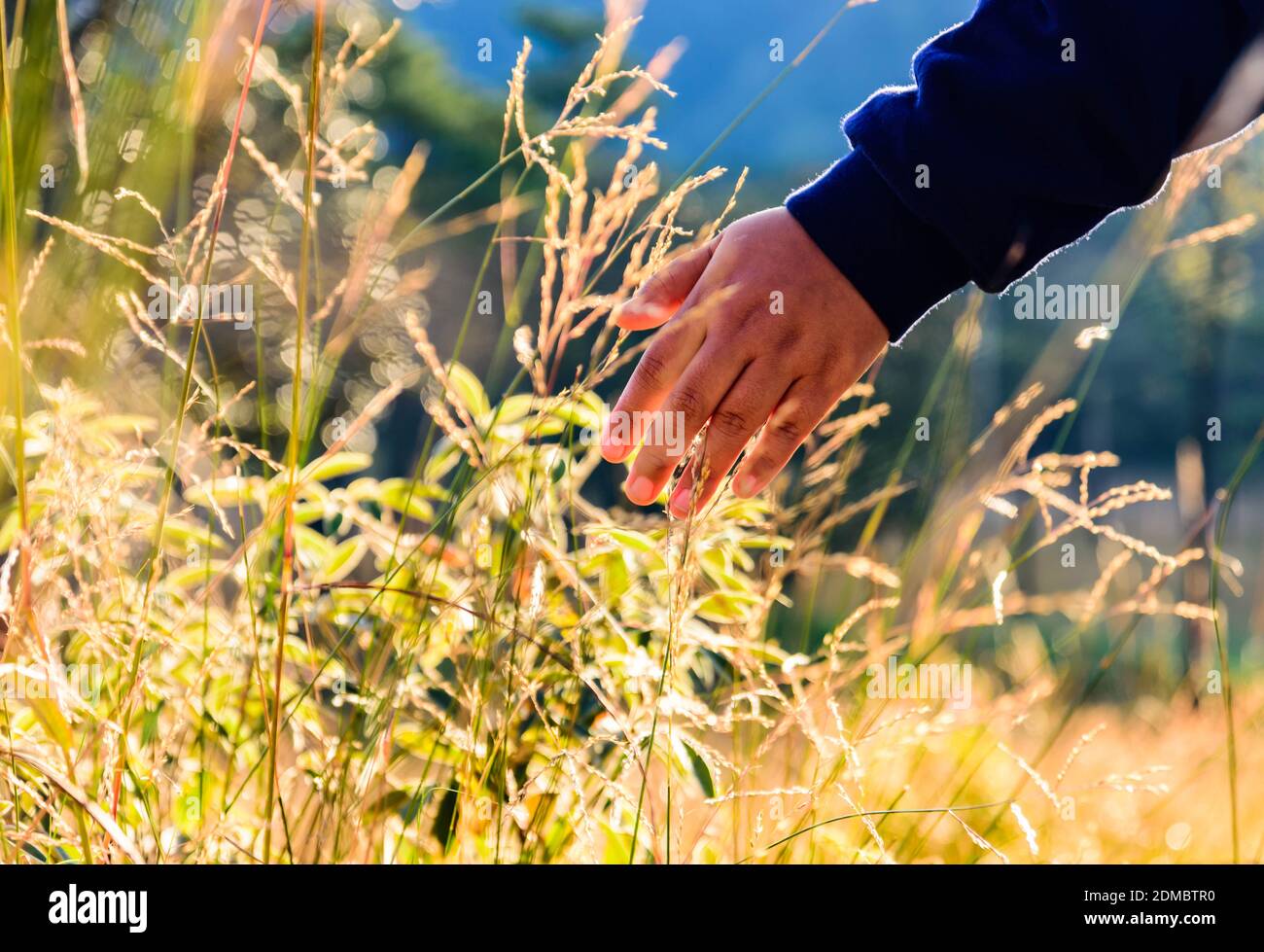 Raising sun rays hi-res stock photography and images - Alamy