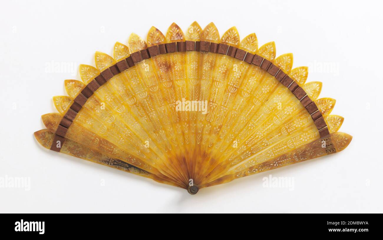 Tortoise shell sticks pierced hi-res stock photography and images - Alamy