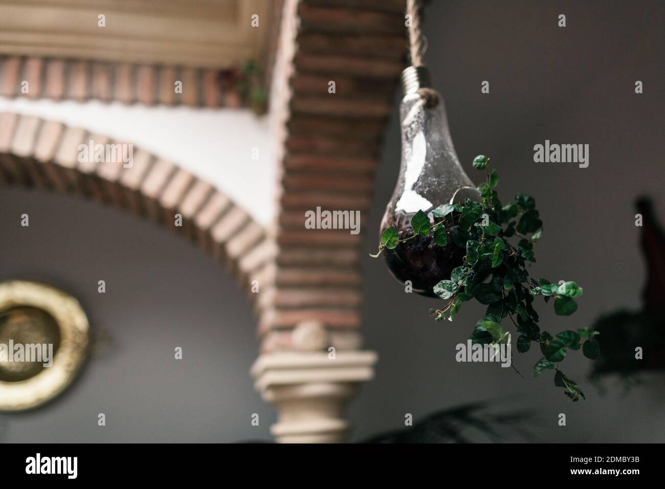 Typical Andalusian Courtyard High Resolution Stock Photography and ...