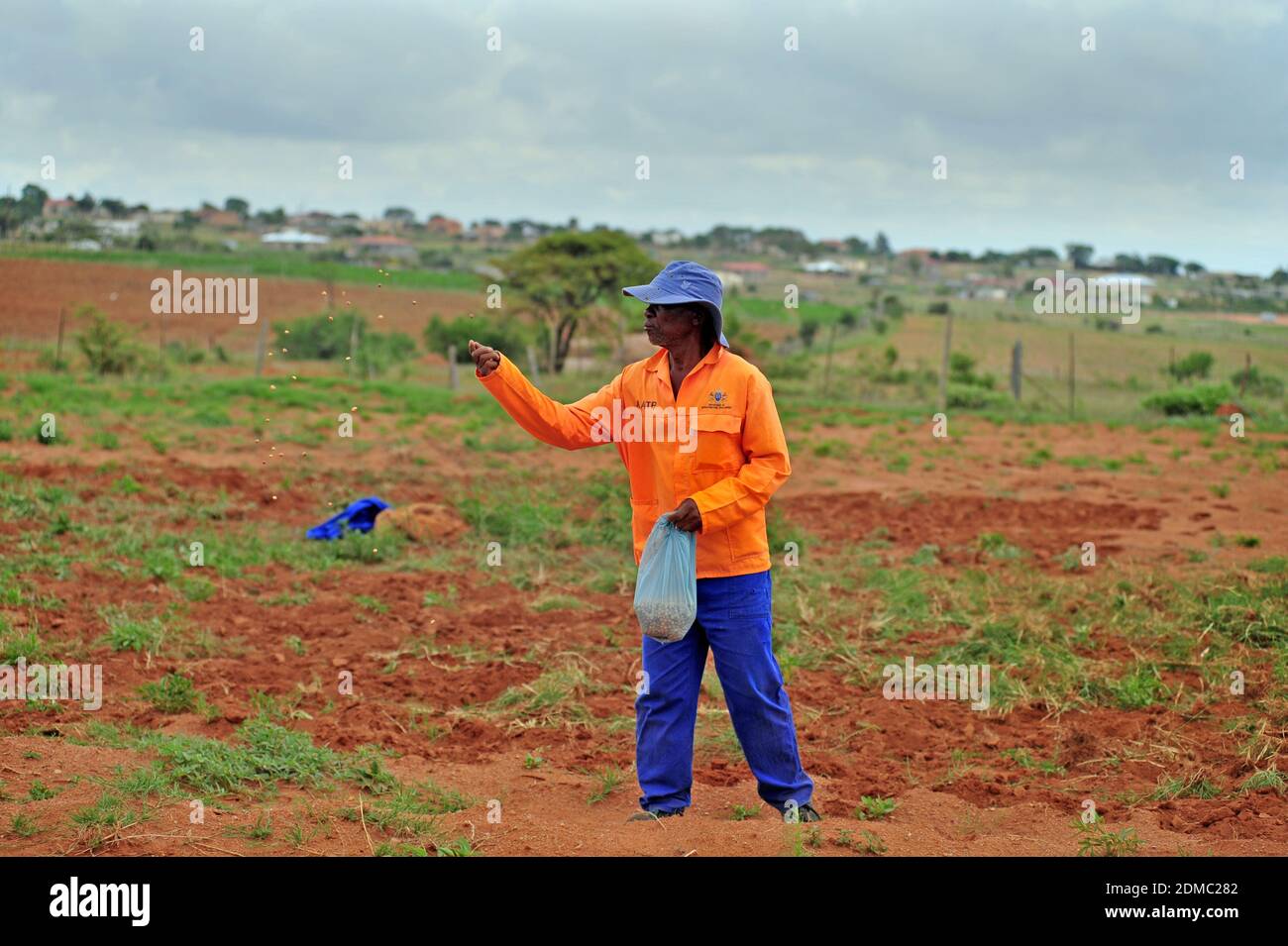 Subsistence farmers in South Africa's rural areas like Limpopo work the ...