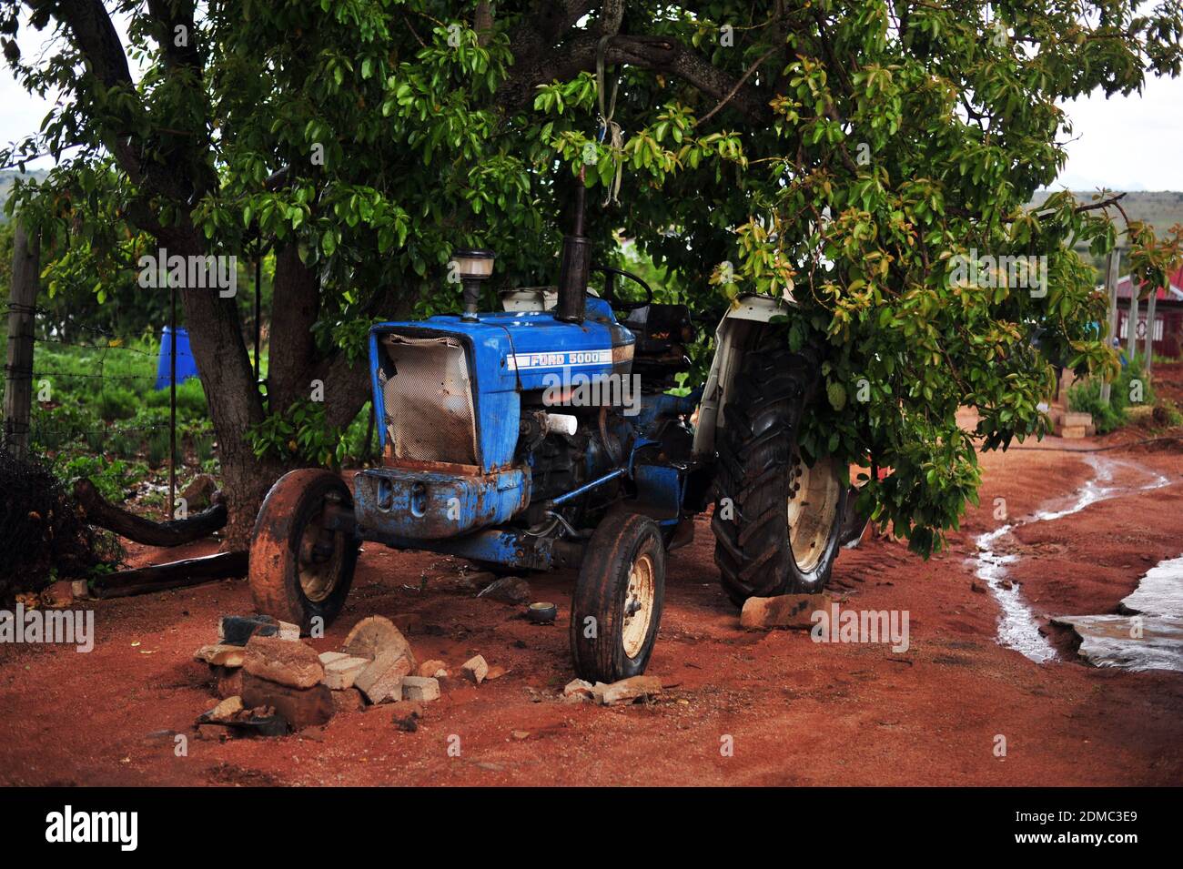 Subsistence farmers in South Africa's rural areas like Limpopo work the ...