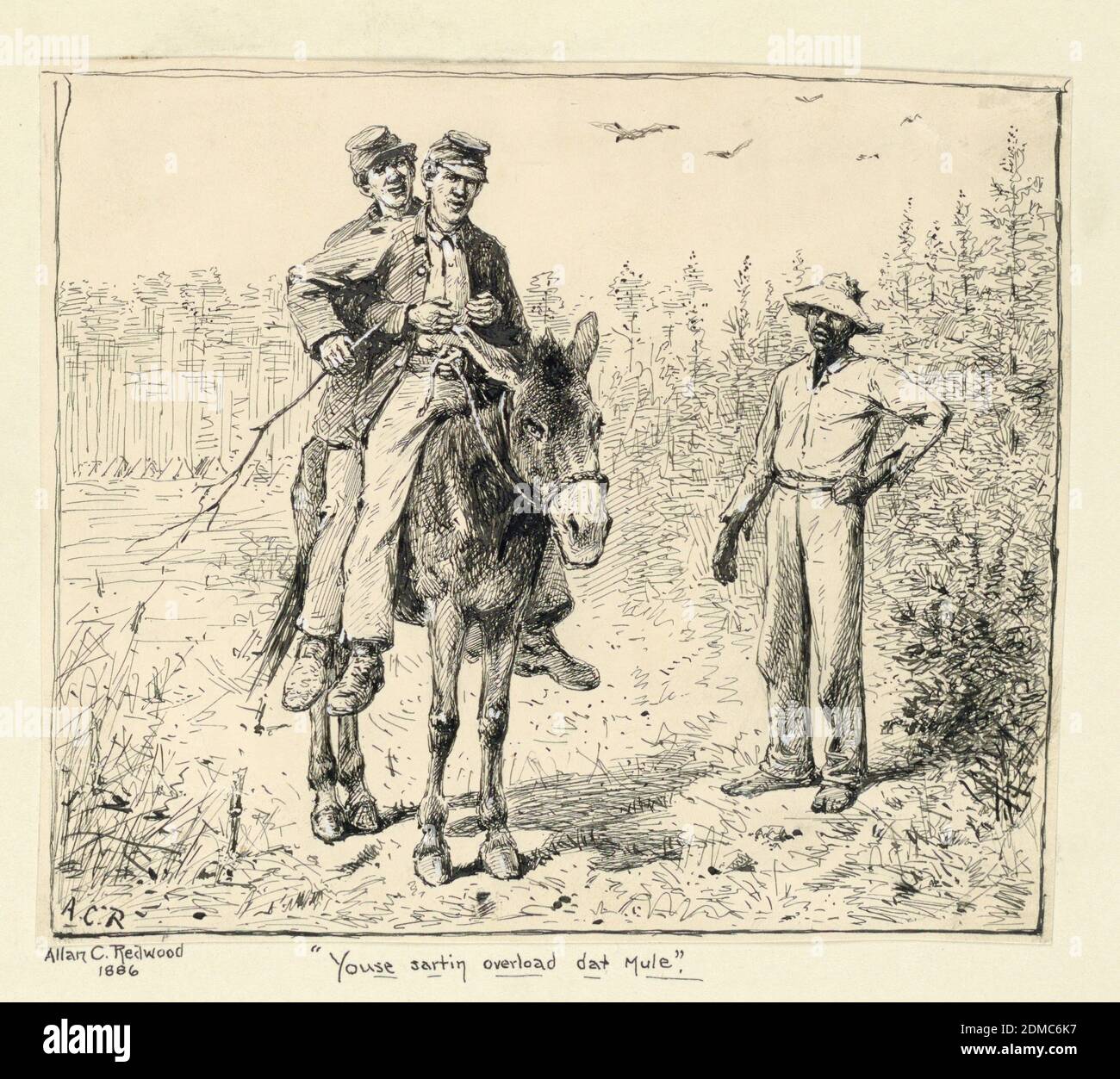 Overload mule hi-res stock photography and images - Alamy