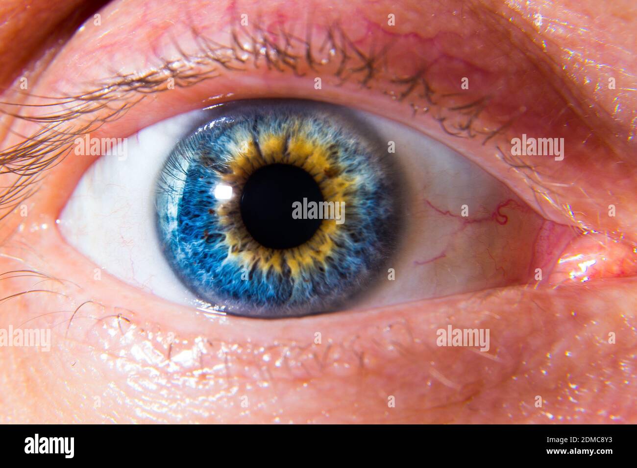 Blue human eye hi-res stock photography and images - Alamy
