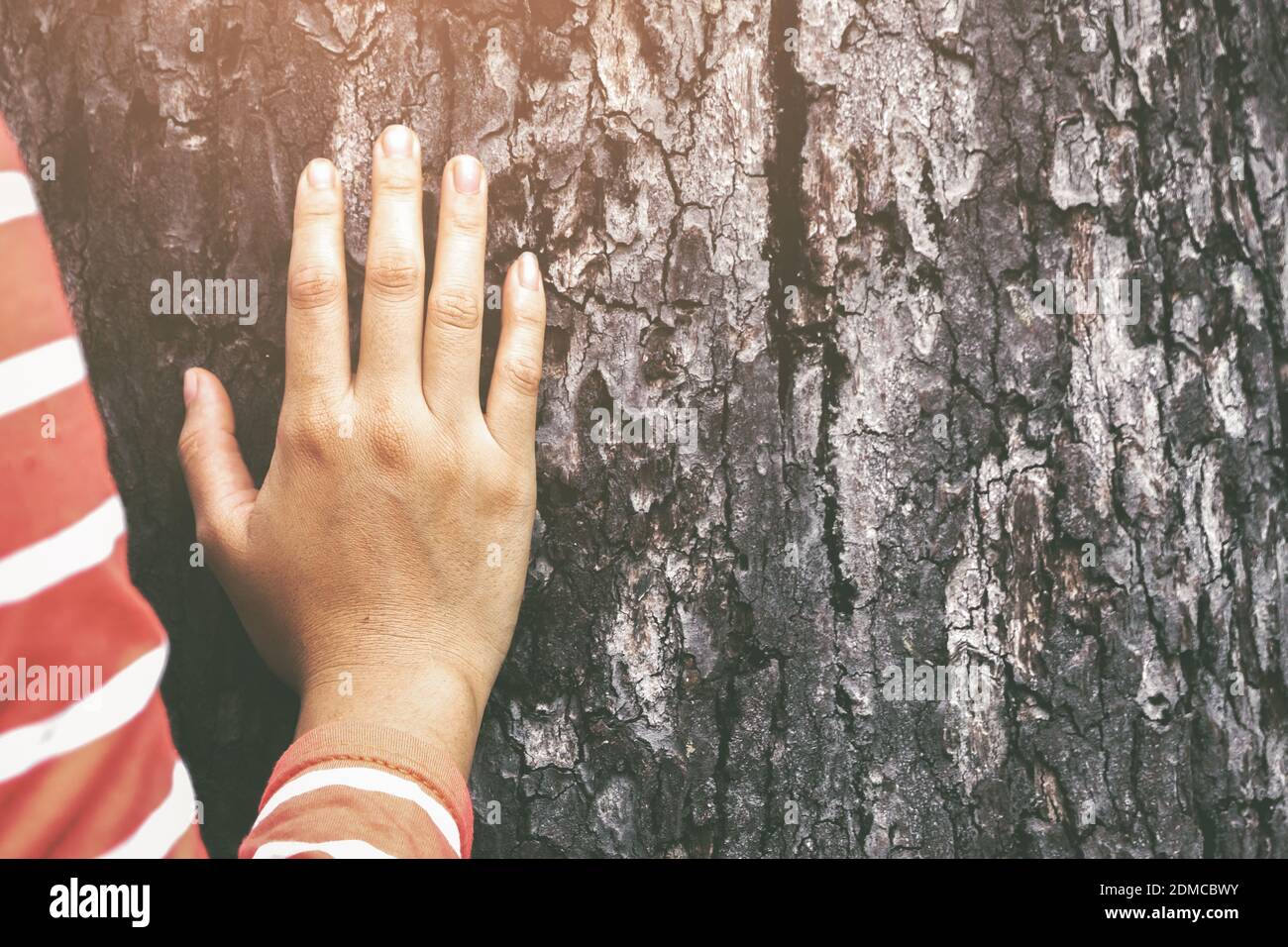 Fingers Extended High Resolution Stock Photography and Images - Alamy