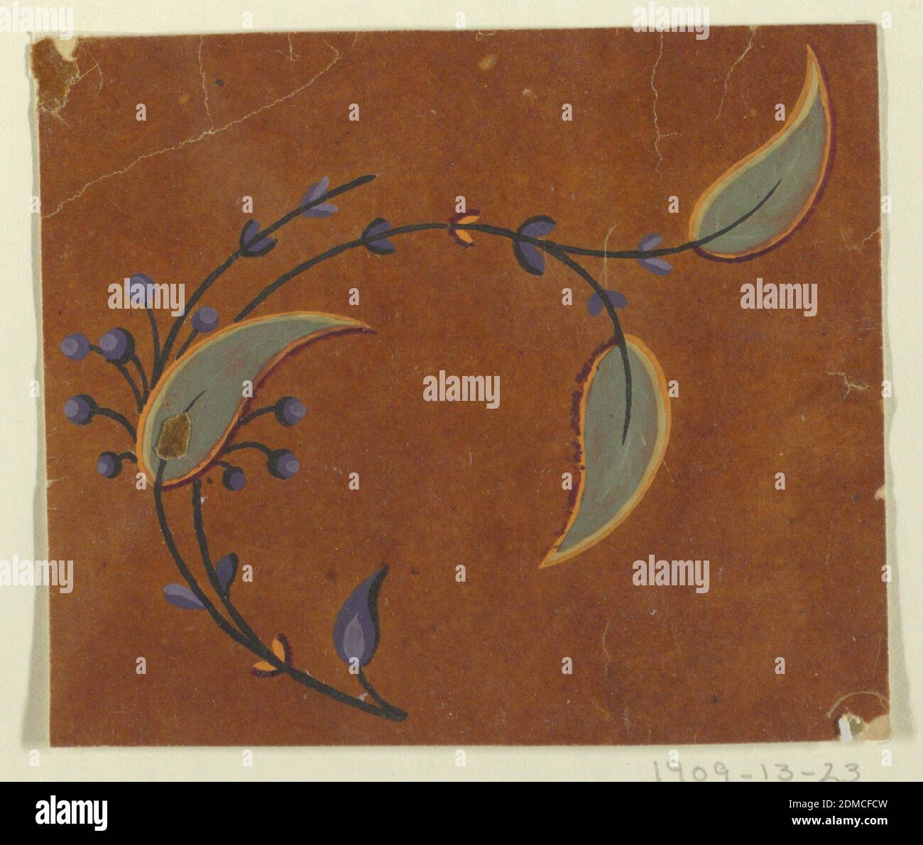 Four persion cone leaves hi-res stock photography and images - Alamy