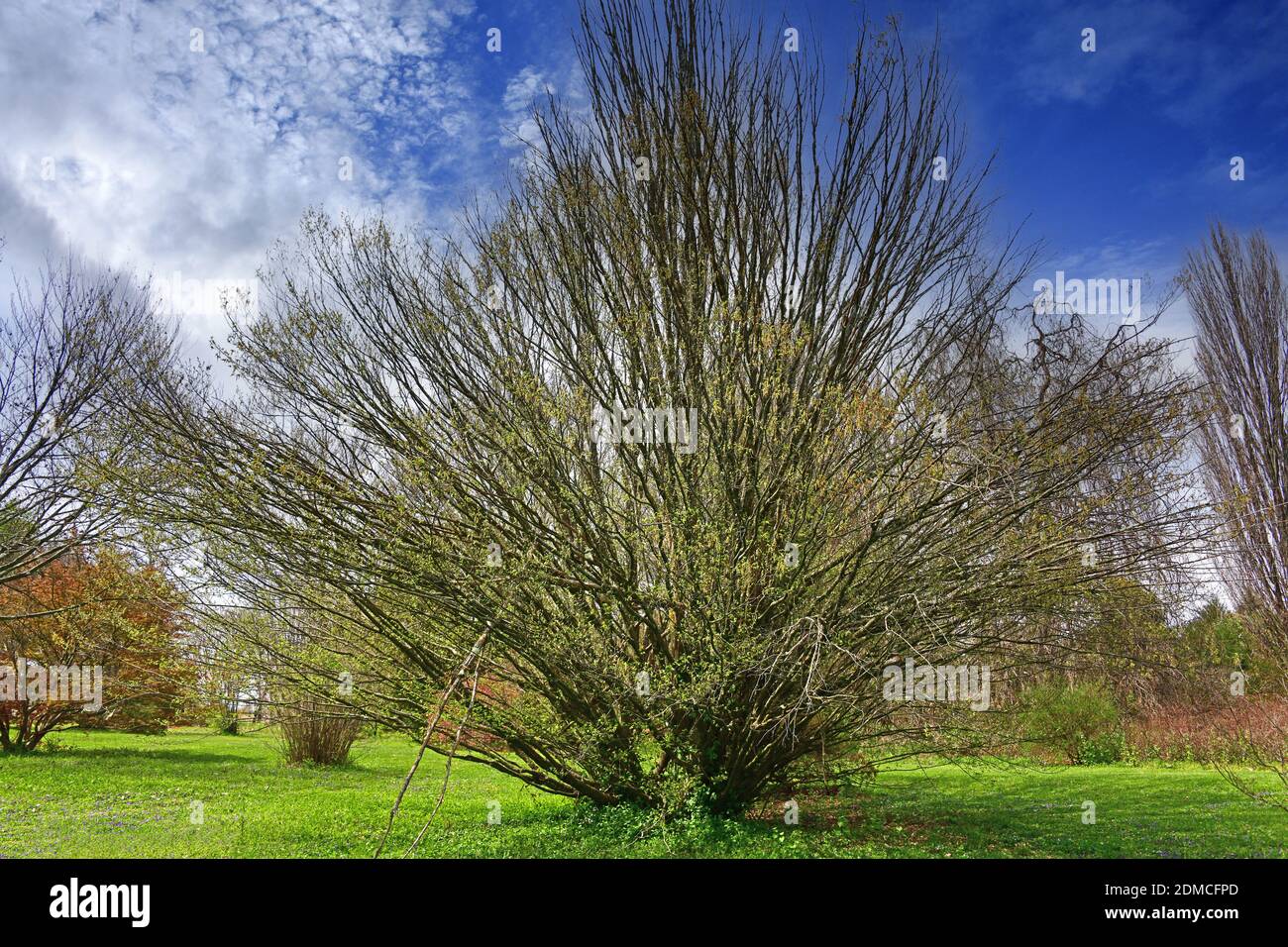 Typical spring landscape in hi-res stock photography and images - Alamy