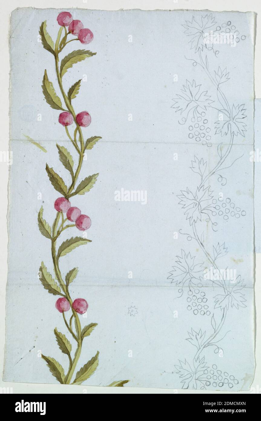 Simple Vine Embroidery Designs